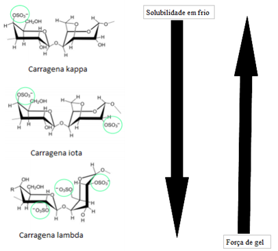 A Carragena na Indústria de Carnes - LC Bolonha